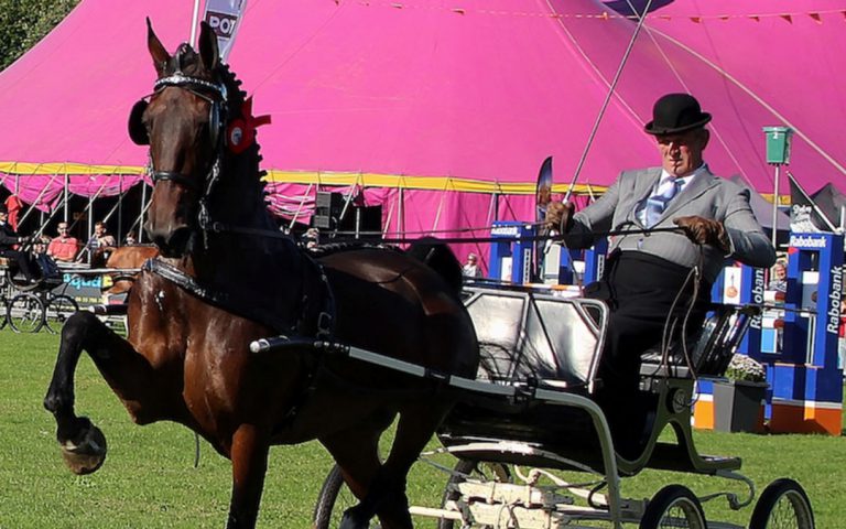 Leendert Veerman en Nico Calis winnen in Workum | Nieuws.Horse